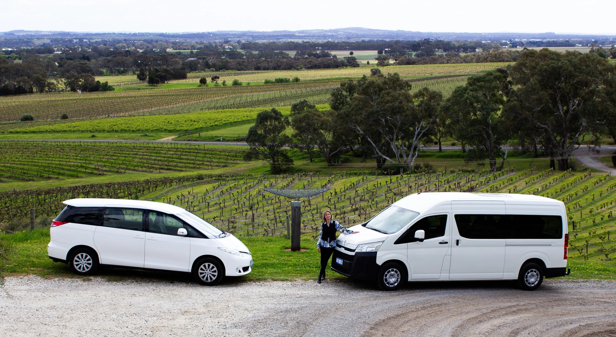 Wine Tours - All Barossa Tours